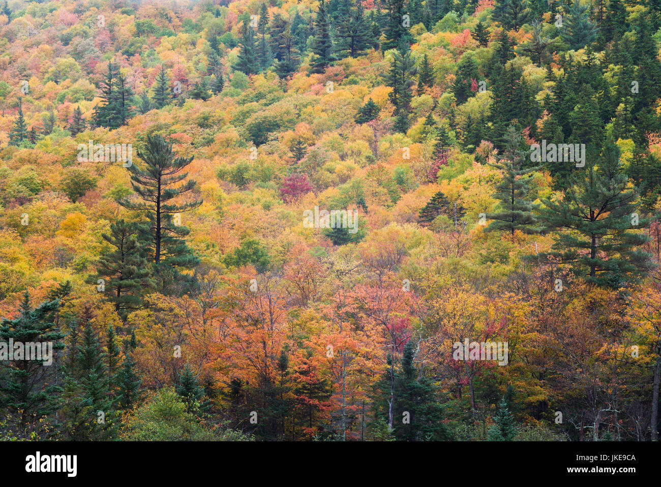Crawford notch hi-res stock photography and images - Alamy