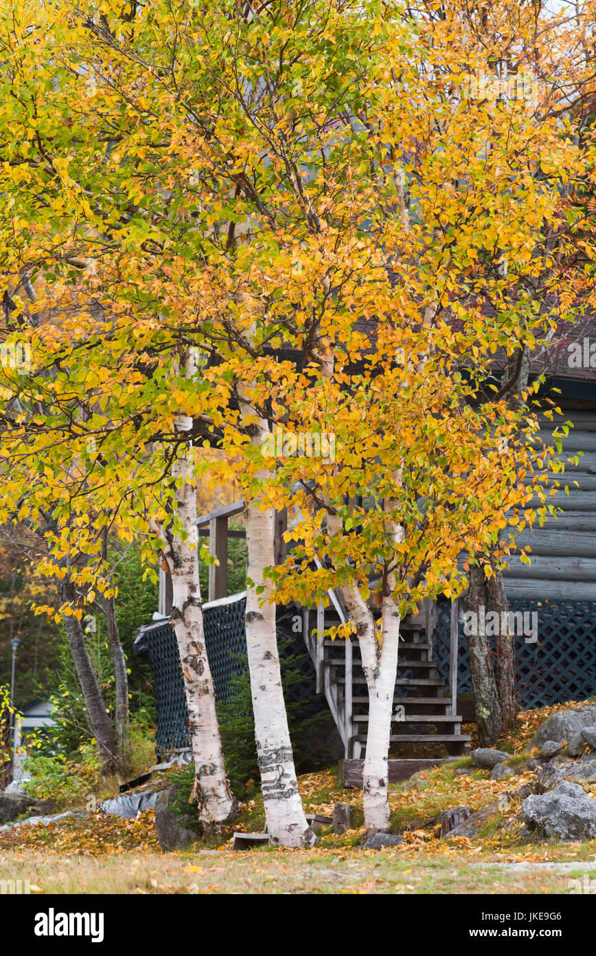 Crawford notch hi-res stock photography and images - Alamy