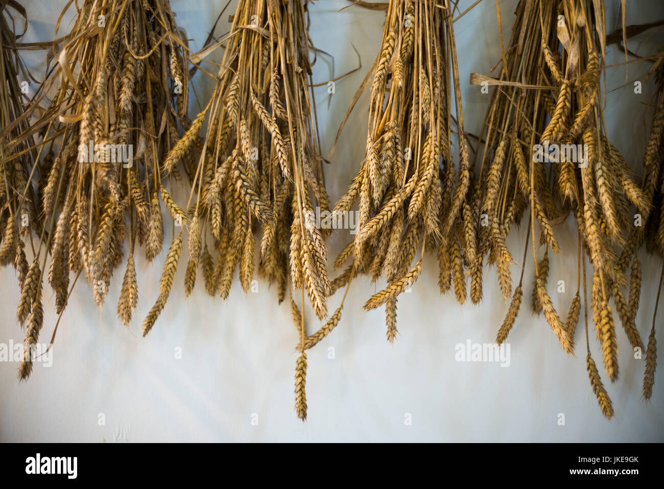 Sheaves of wheat hi-res stock photography and images - Alamy