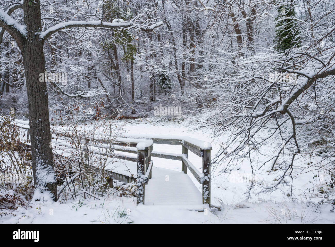 USA, Massachusetts, Cape Ann, Gloucester, early snowfall Stock Photo ...