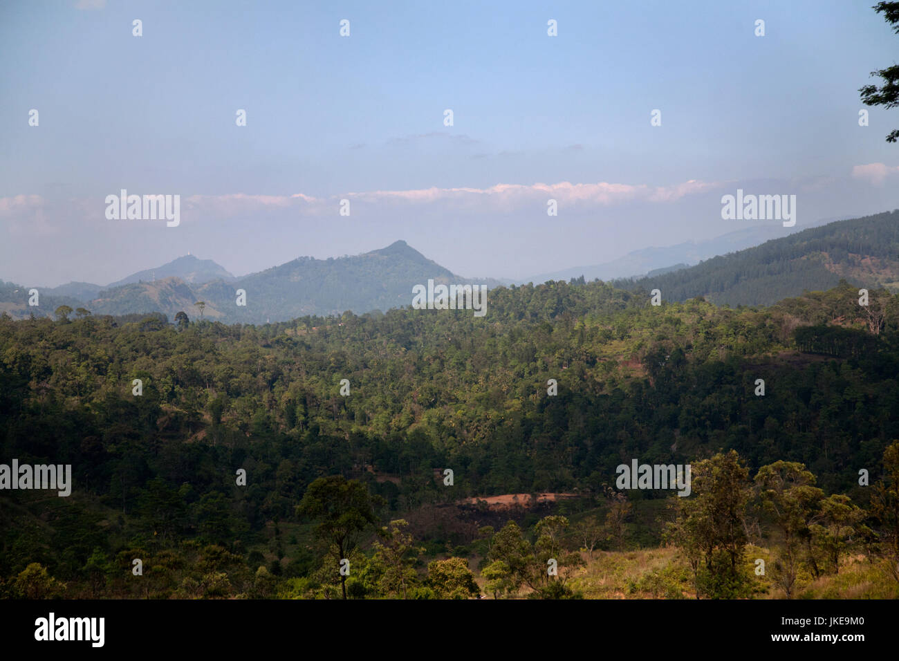 forest hill country near kandy central province sri lanka Stock Photo ...