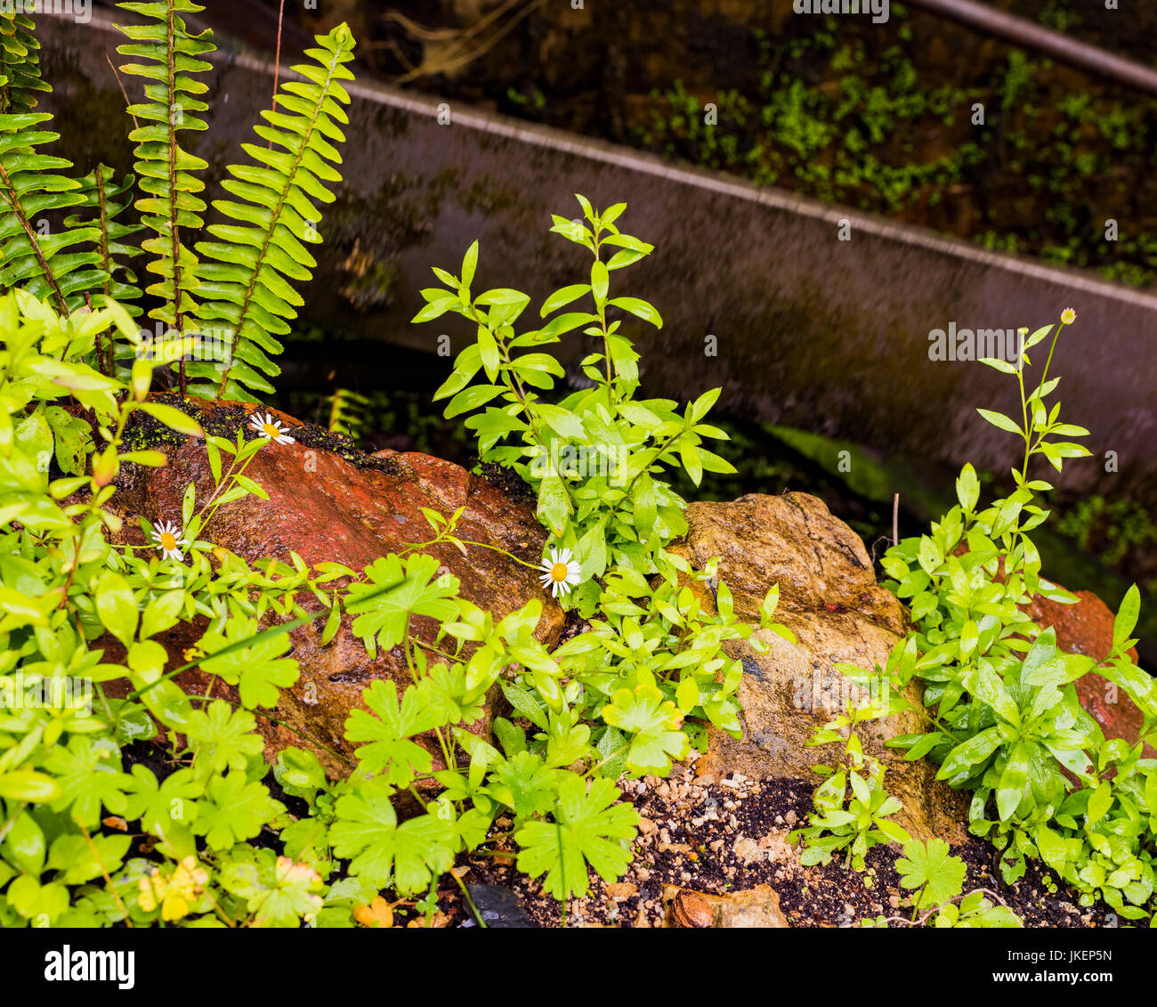 Old mill wheel at Bridgewater, South Australia Stock Photo - Alamy