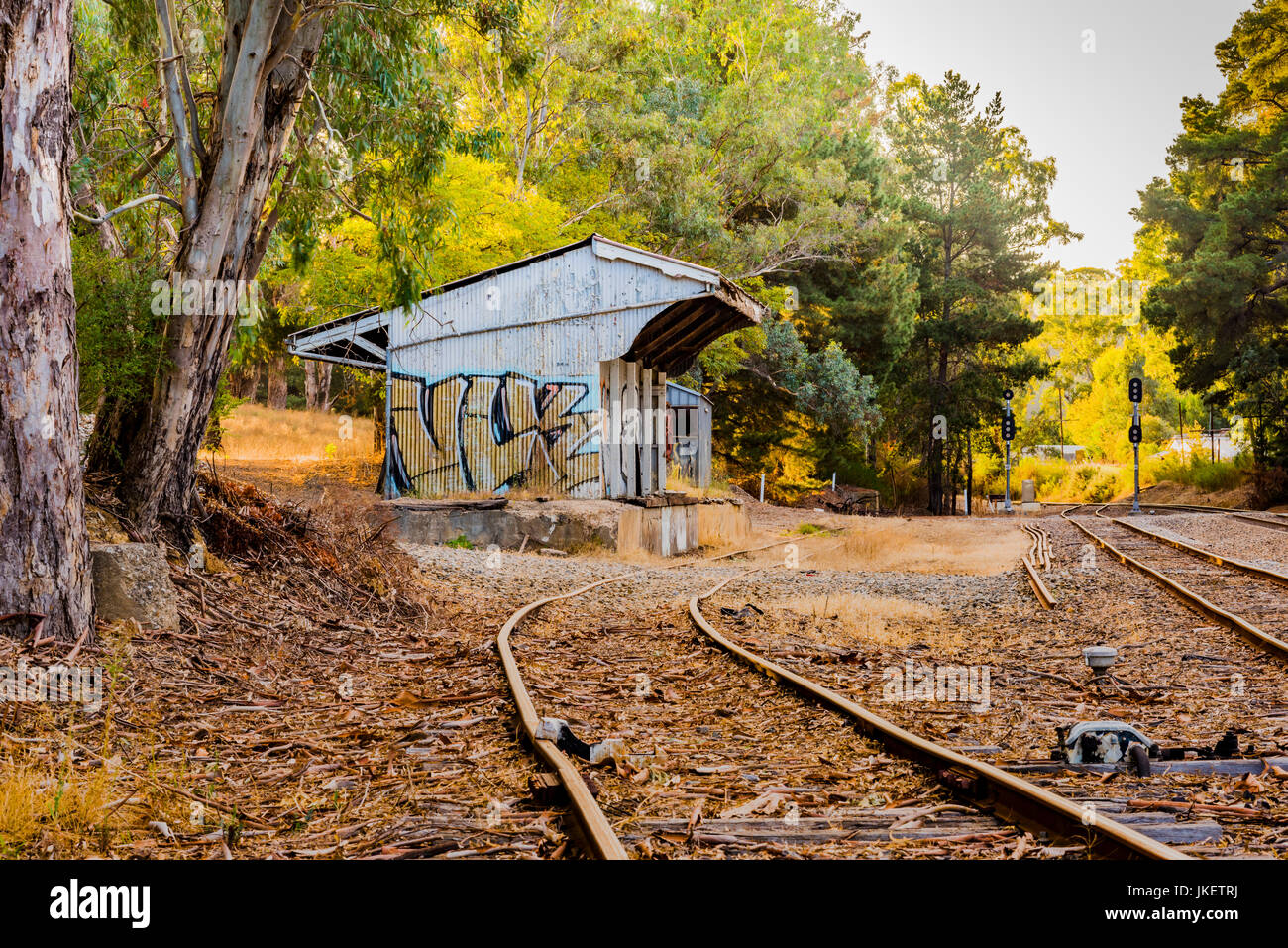 Abandoned railroad overgrown weeds hi-res stock photography and images ...