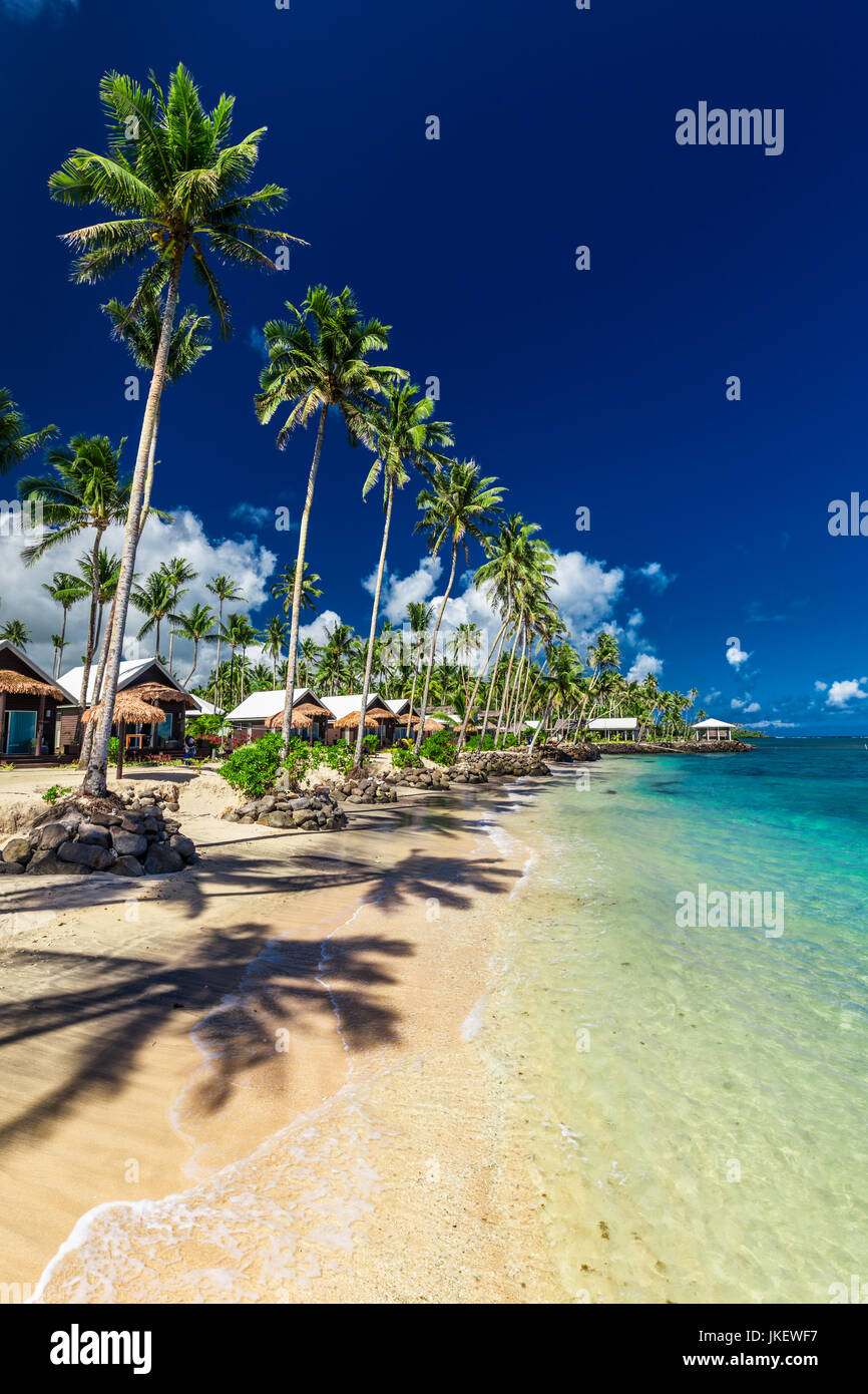 Tropical beach with with coconut palm trees and villas on Samoa Islands ...