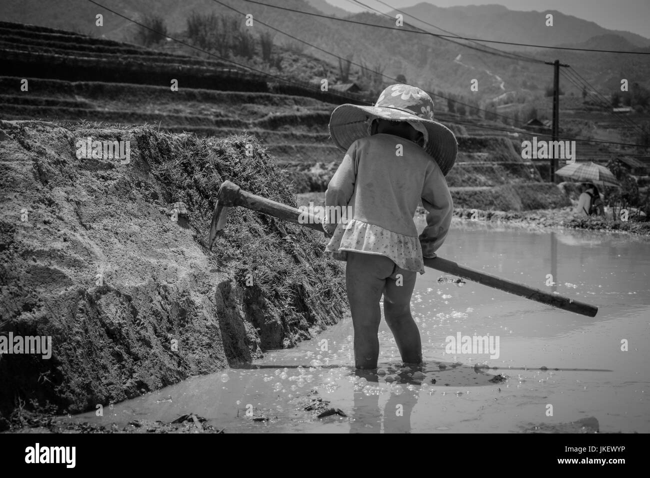 Working in paddy Black and White Stock Photos & Images - Alamy