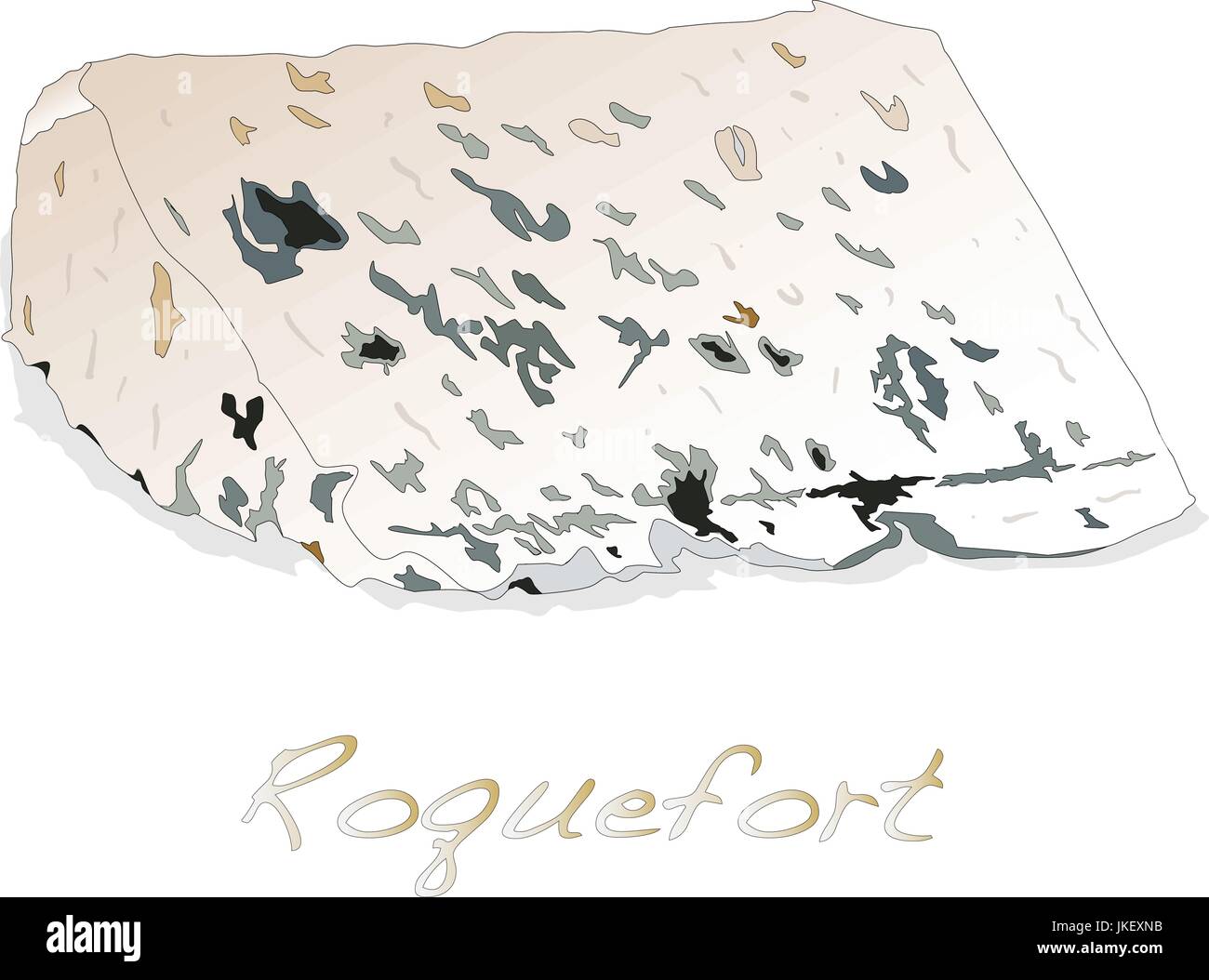 Blue roquefort cheese Stock Vector Image & Art - Alamy