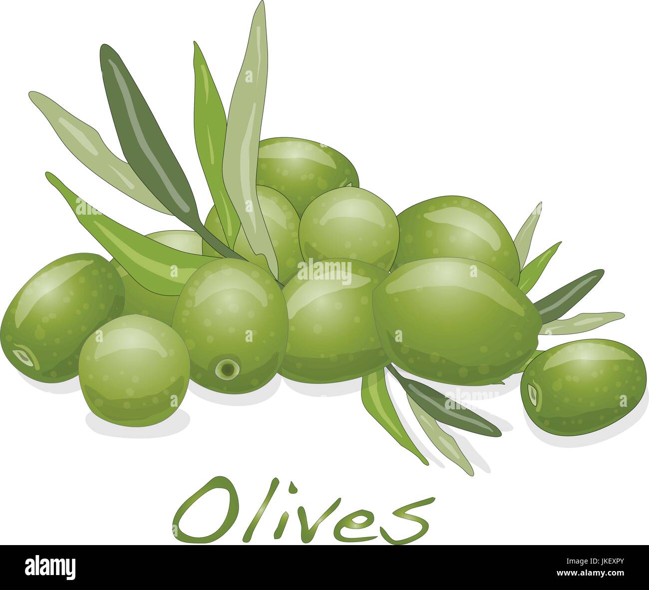 olives vector isolated Stock Vector Image & Art - Alamy