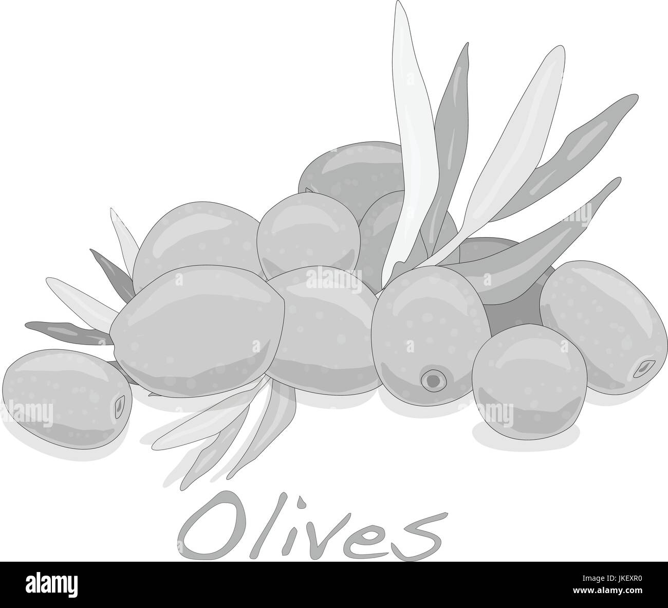 olives vector isolated Stock Vector Image & Art - Alamy