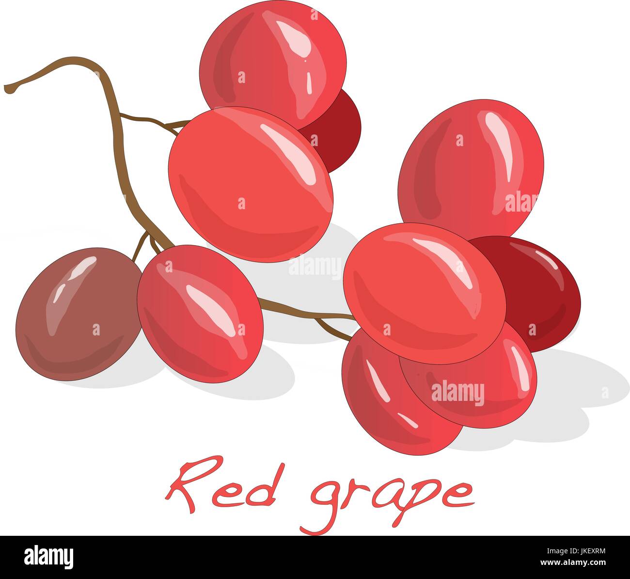 grapes bunch isolated on white background as vector design element ...