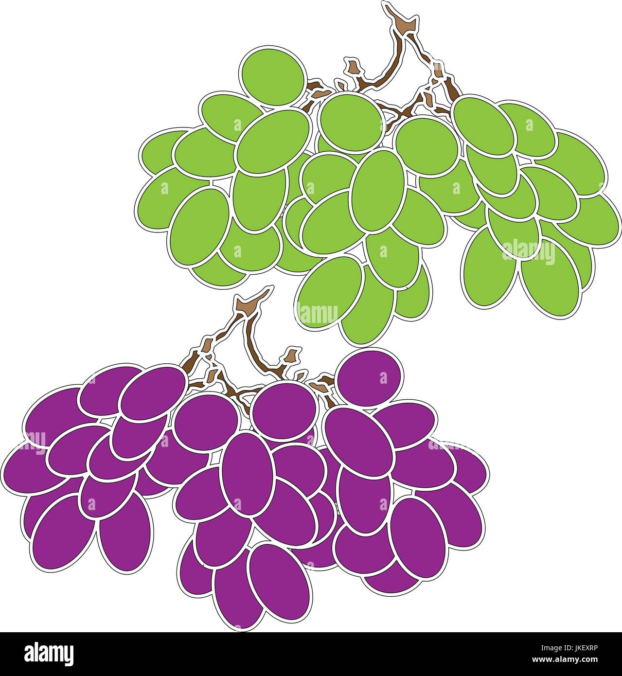 grapes bunch isolated on white background as vector design element ...