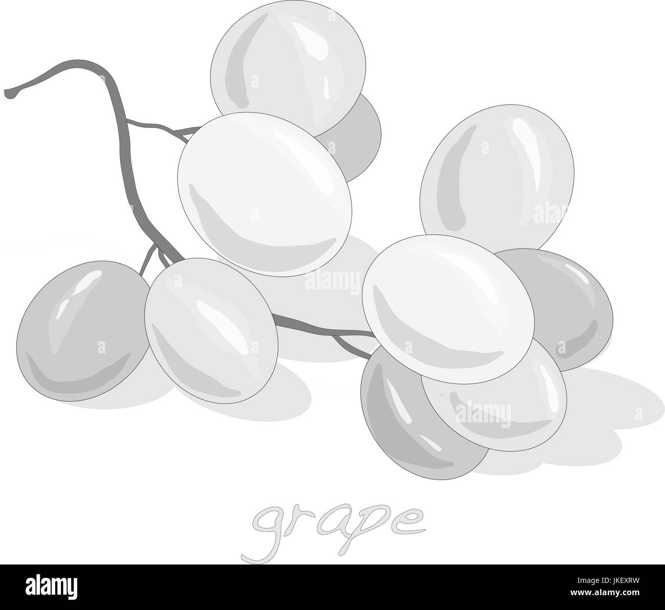 grapes bunch isolated on white background as vector design element ...