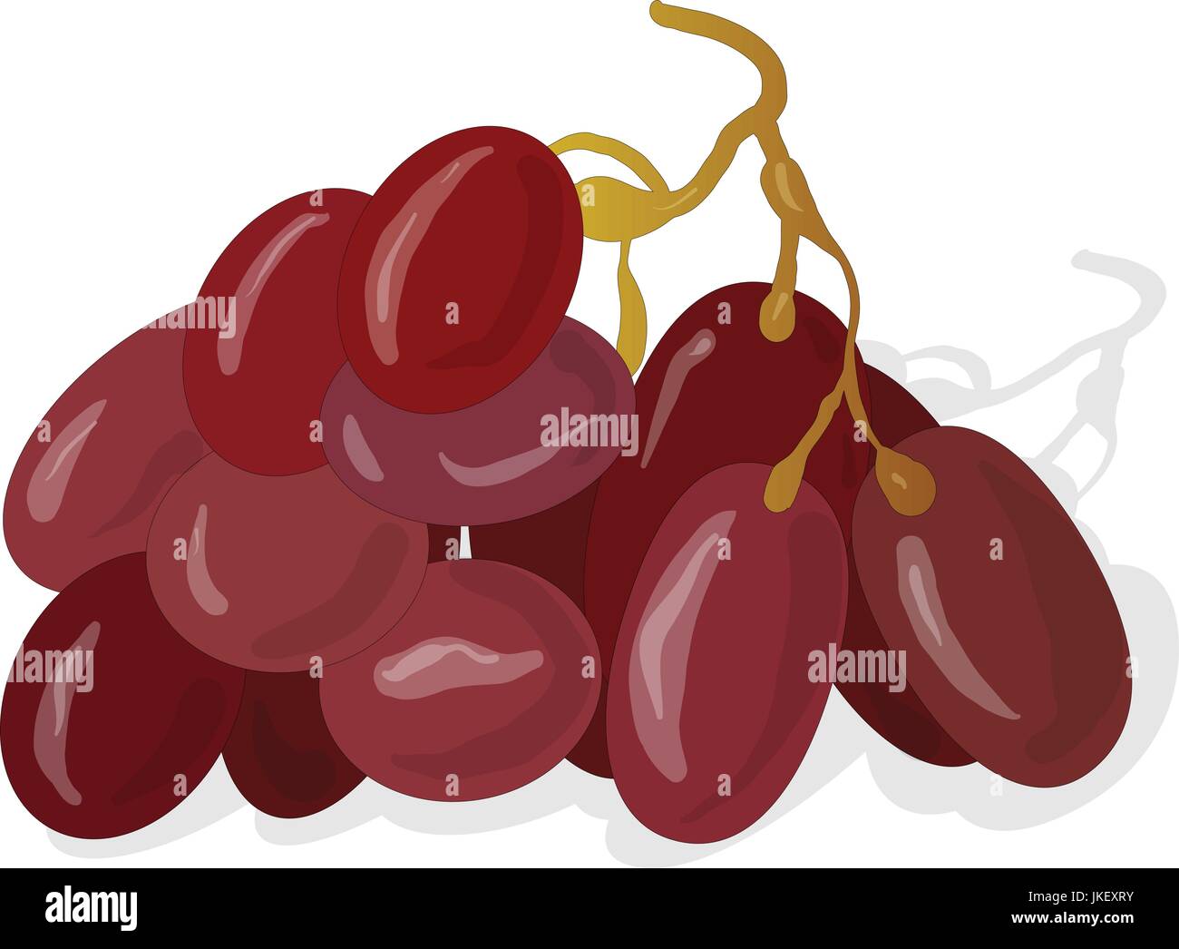 grapes bunch isolated on white background as vector design element ...