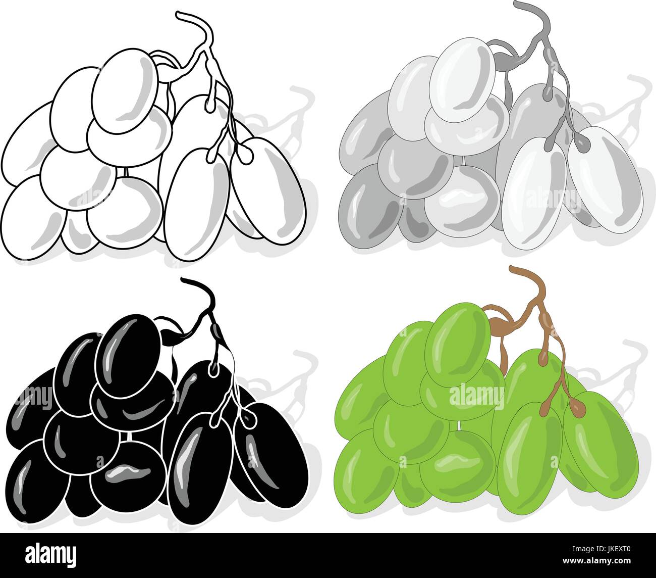 grapes bunch isolated on white background as vector design element ...