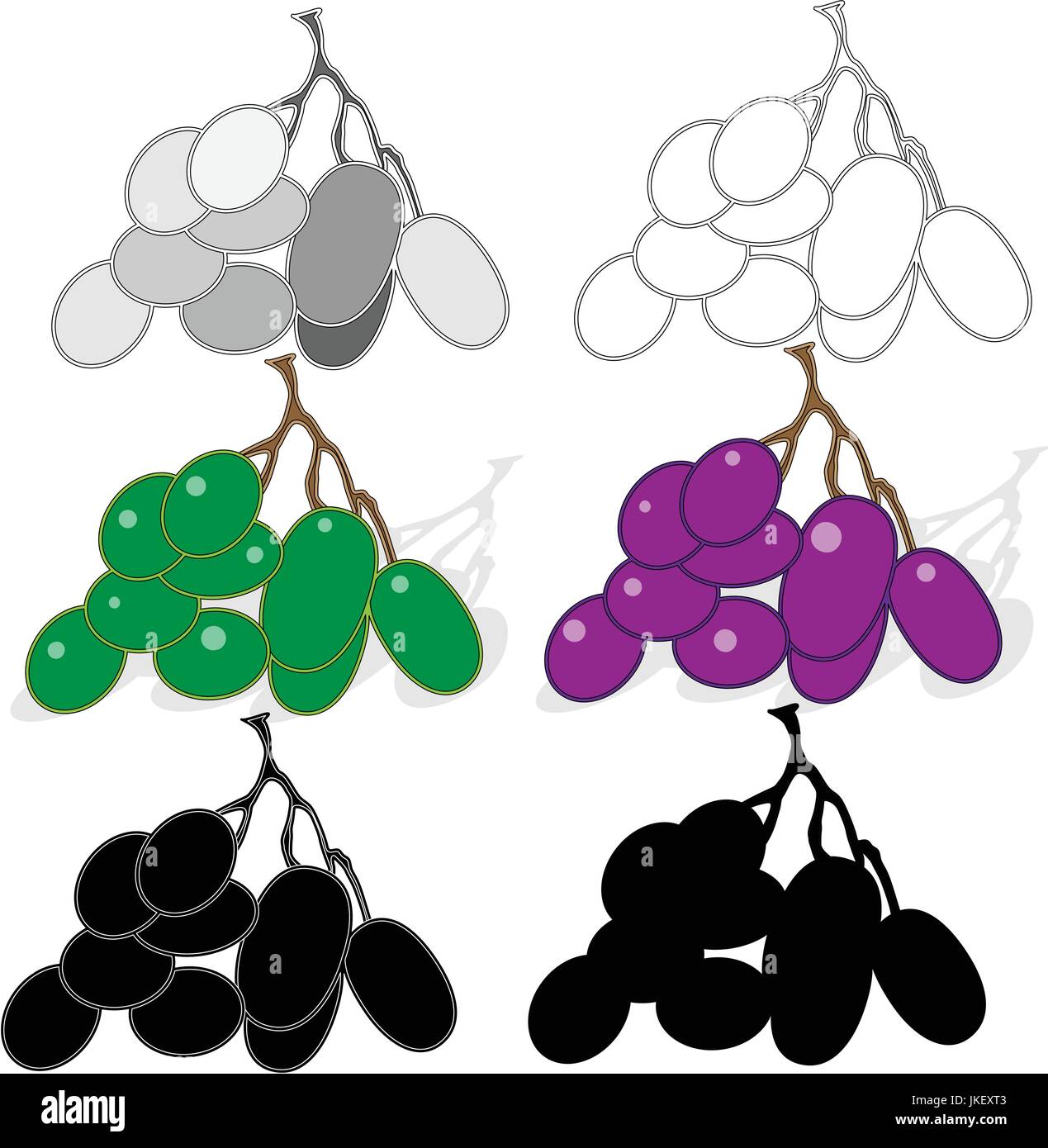 grapes bunch isolated on white background as vector design element ...