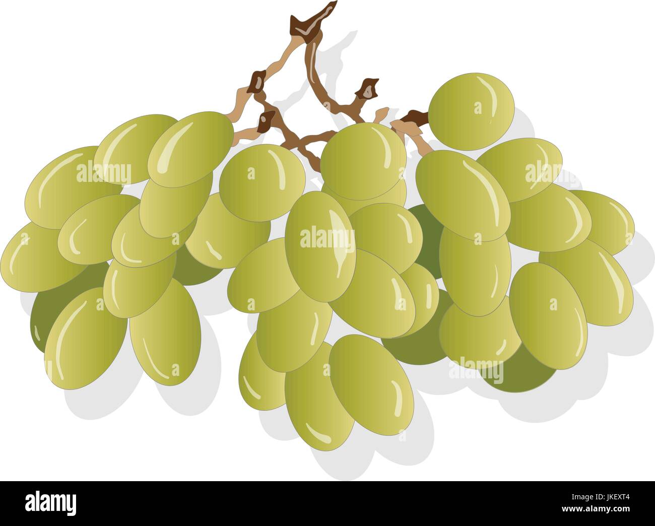 grapes bunch isolated on white background as vector design element ...