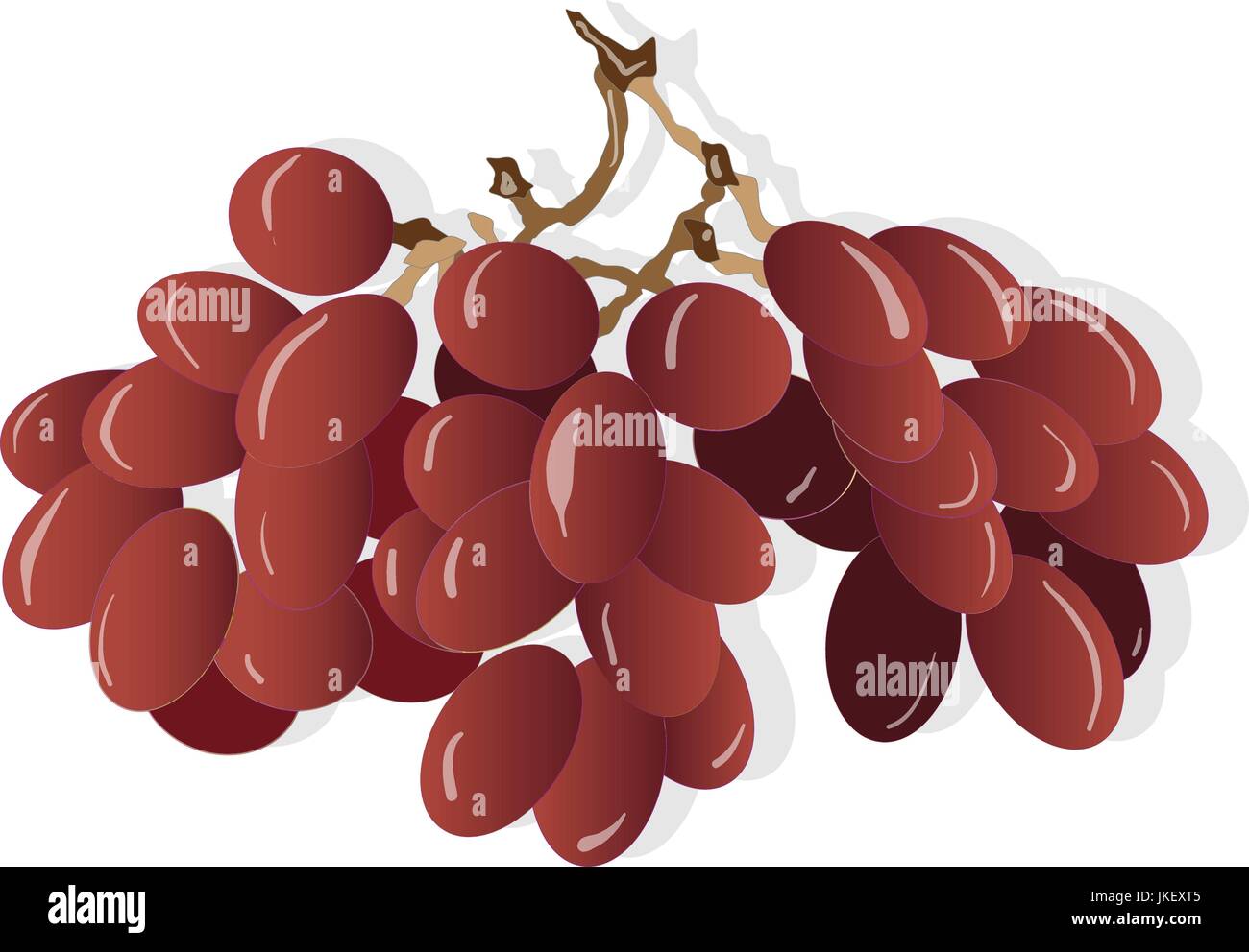 grapes bunch isolated on white background as vector design element ...