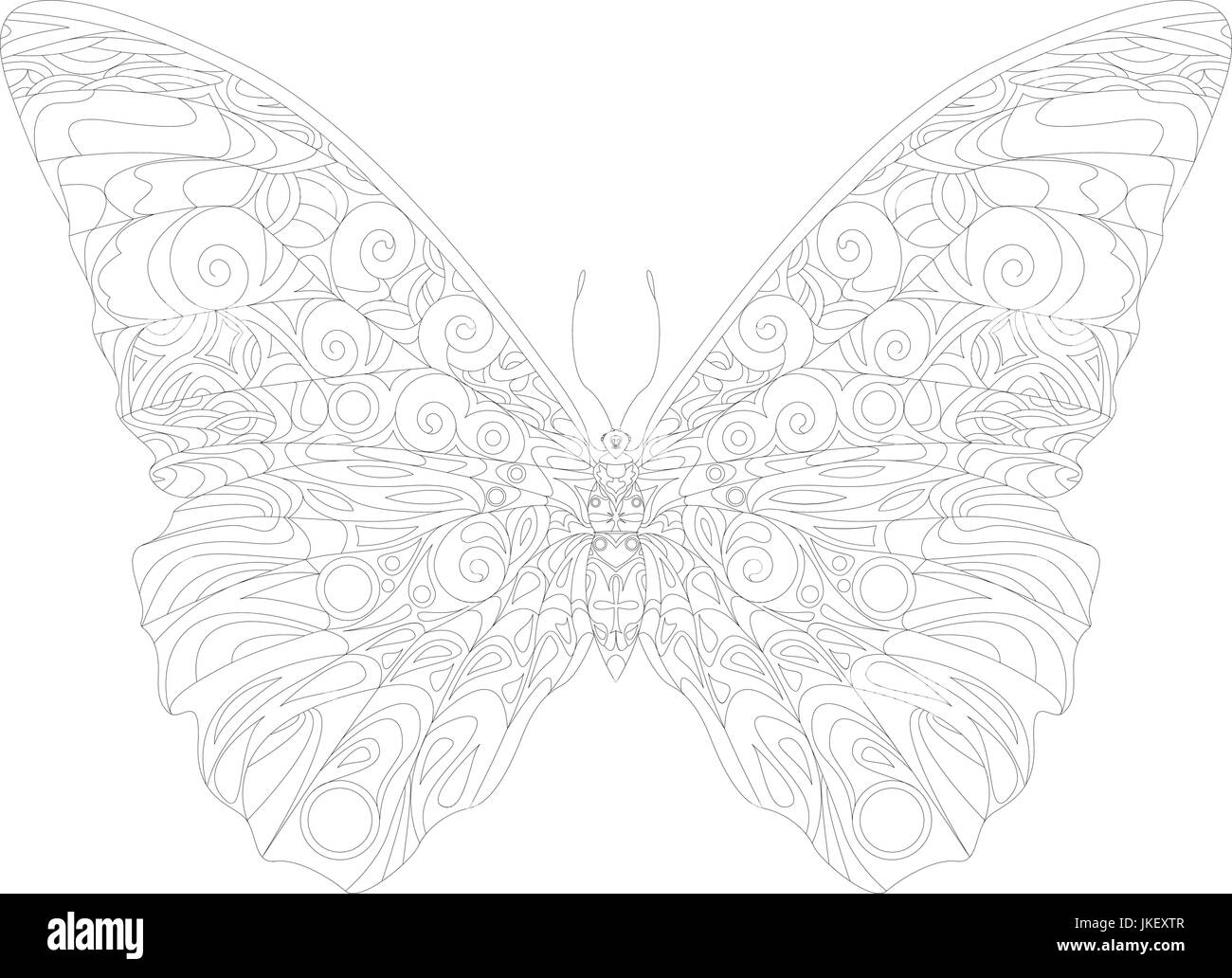 Hand Drawn Butterfly Zentangle Style For Coloring Book Shirt Design Or