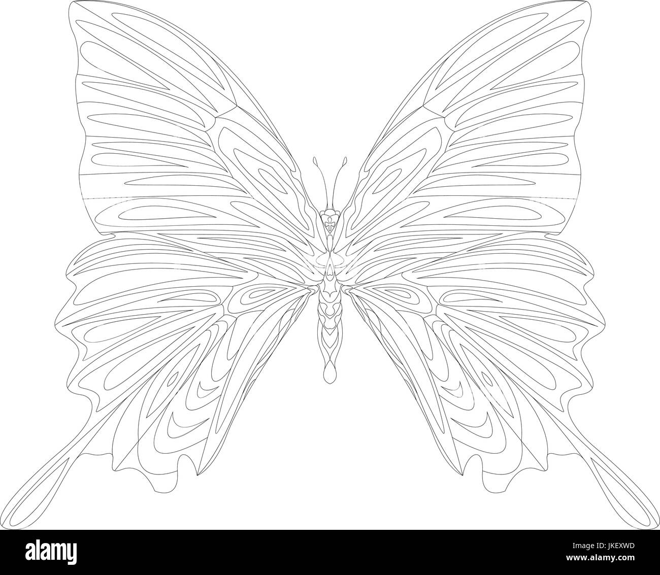 Hand Drawn Butterfly Zentangle Style For Coloring Book Shirt Design Or