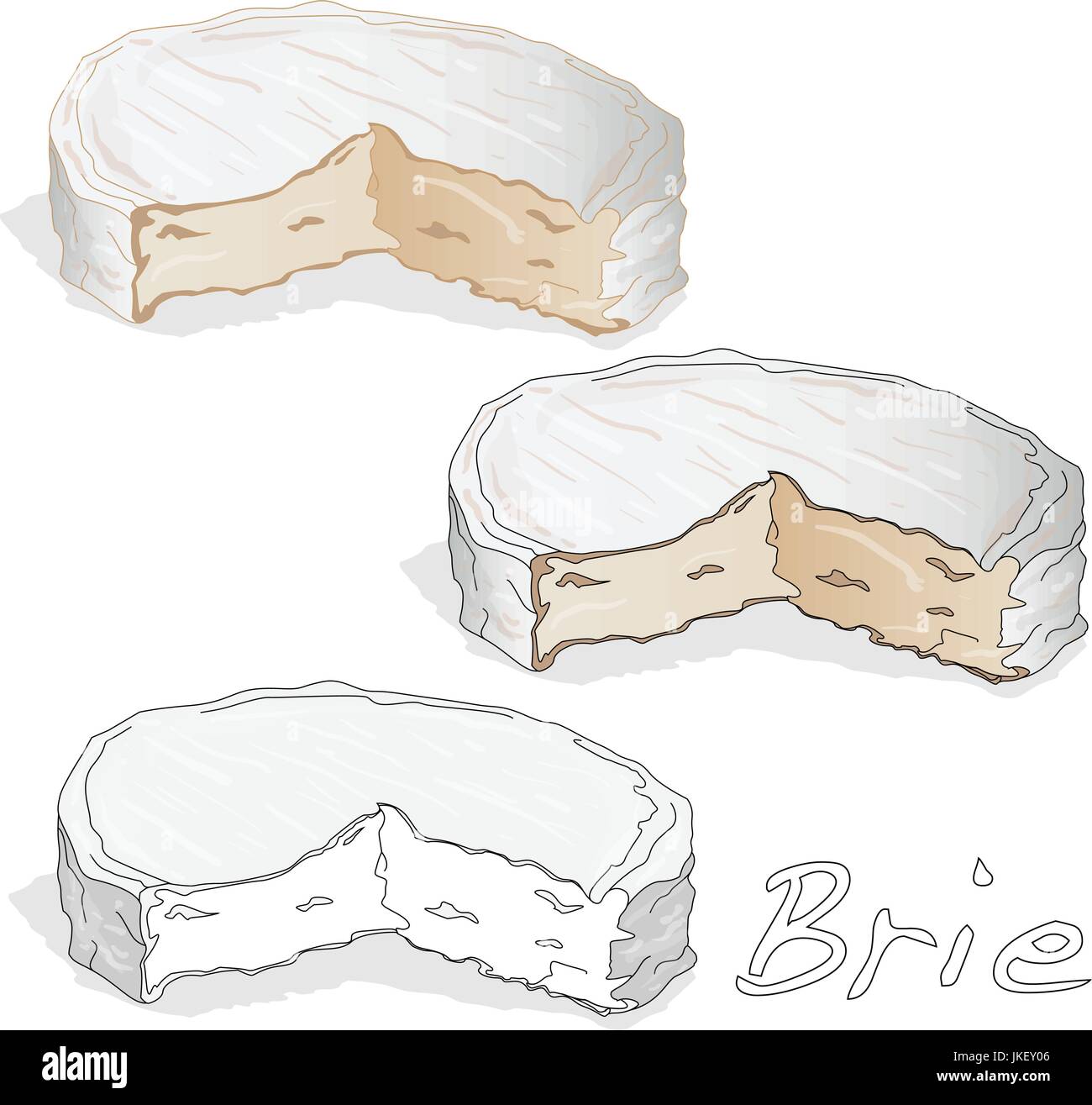Brie cheese isolated artwork Stock Vector Image & Art - Alamy
