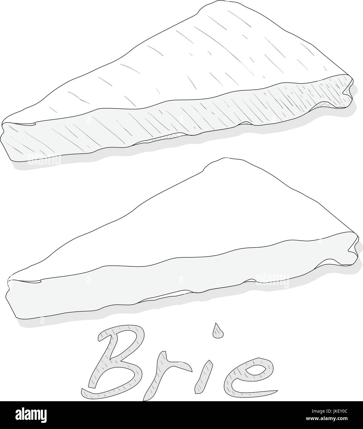 Brie cheese isolated artwork Stock Vector Image & Art - Alamy