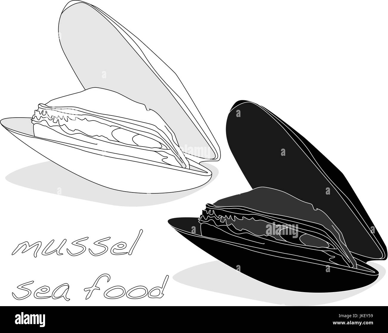 Mussels illustration on white background Stock Vector Image & Art - Alamy