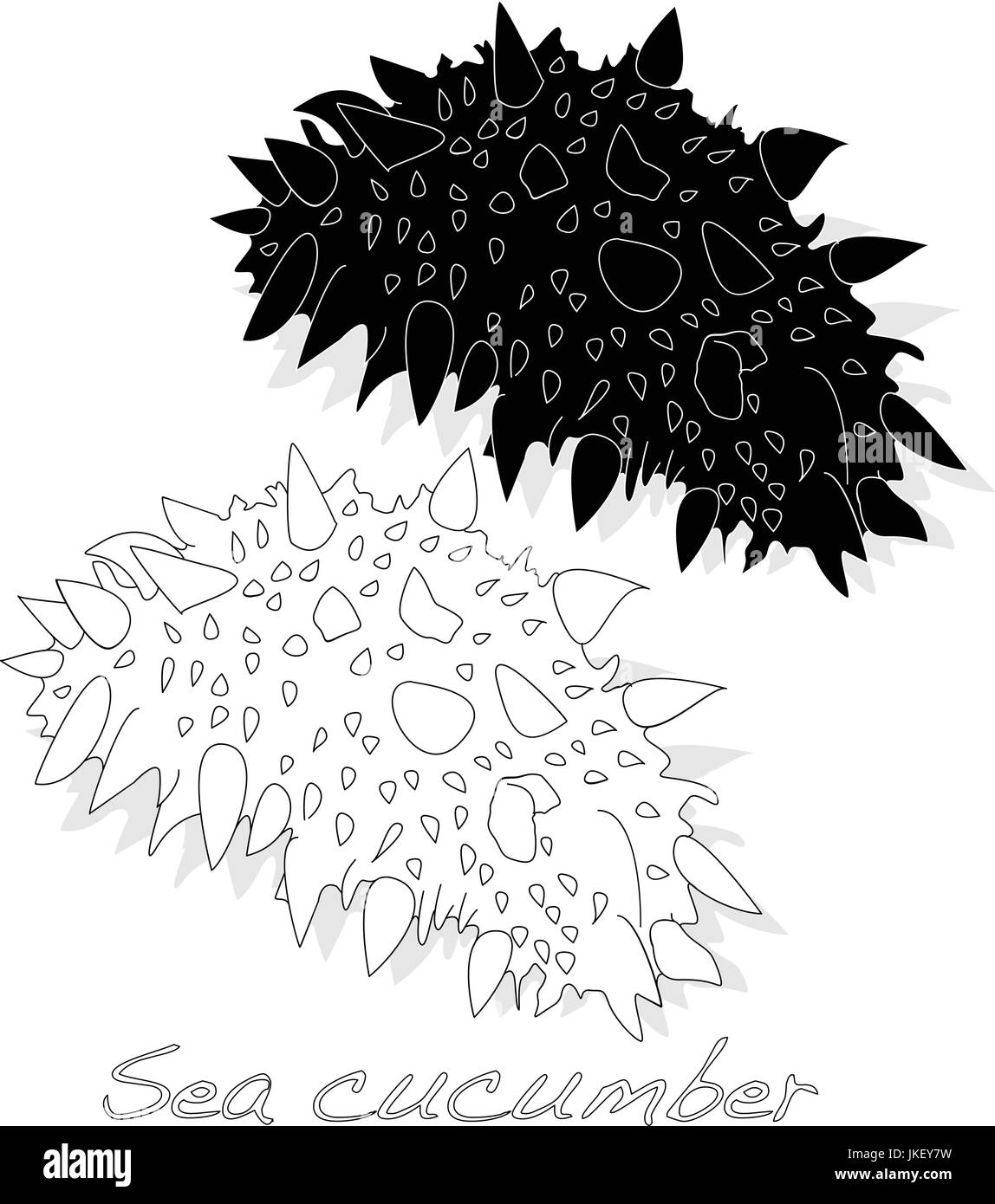 Sea cucumber illustration isolated on white background Stock Vector ...