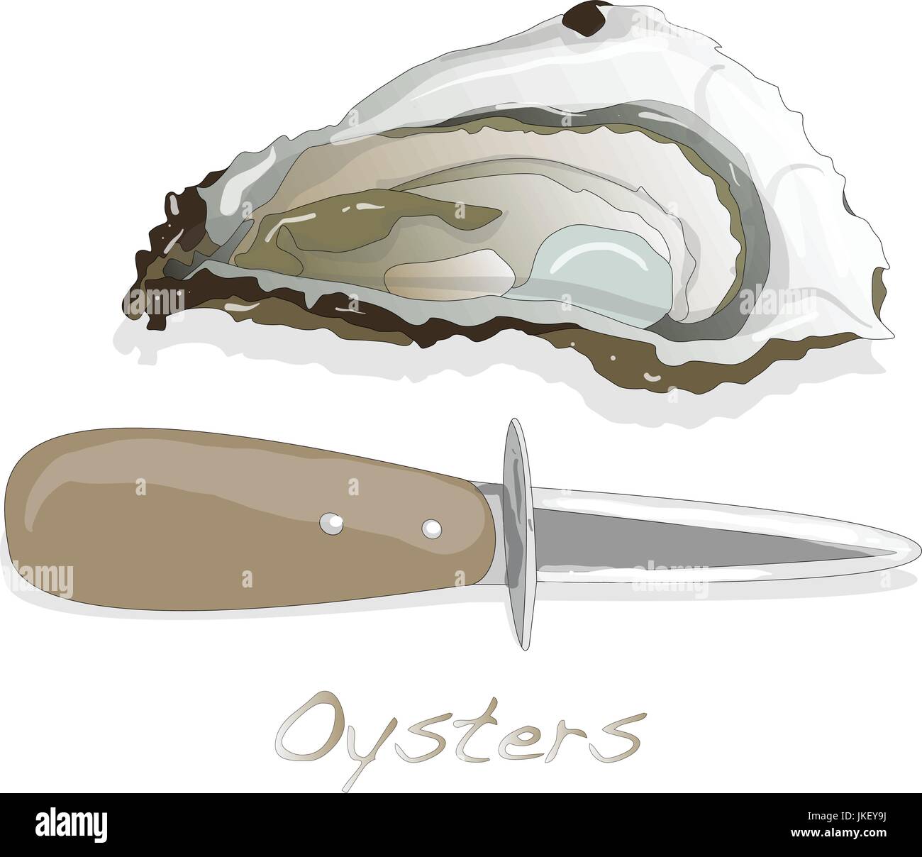 Gastronomy luxury oyster gourmet Cut Out Stock Images & Pictures - Alamy