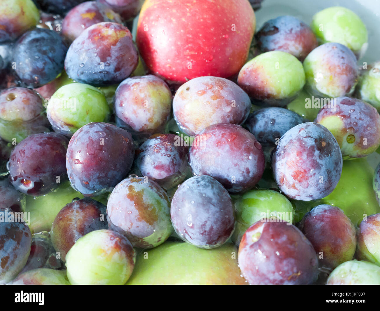 Picked damsons hi-res stock photography and images - Alamy