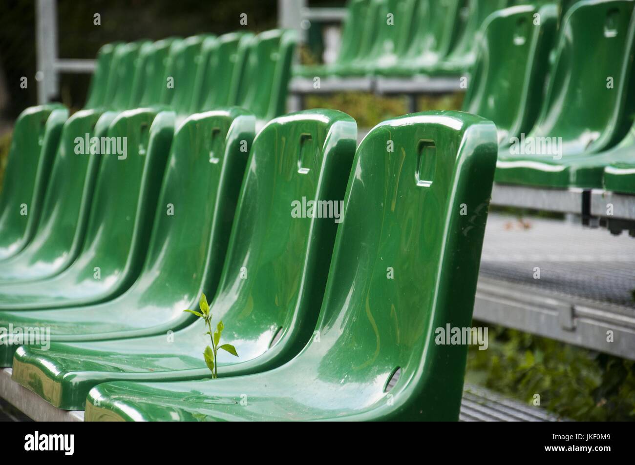 green fan chairs on local football field Stock Photo - Alamy