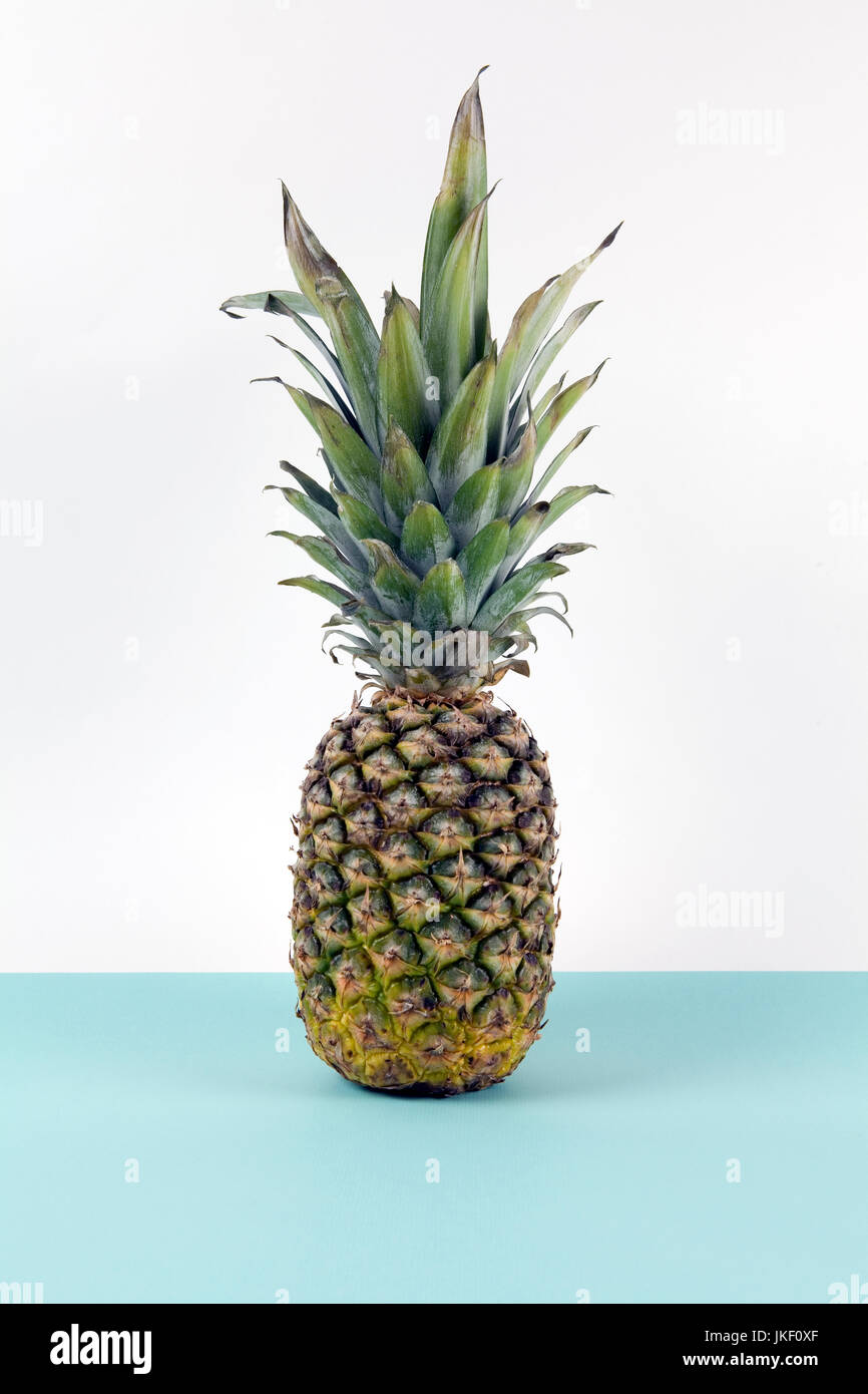 Playful pineapple on a pop bicolor background turquoise and white like ...