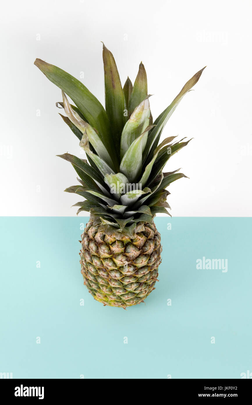 Playful pineapple on a pop bicolor background turquoise and white like ...