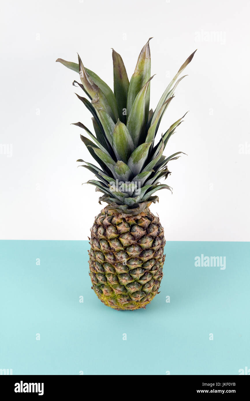 Playful pineapple on a pop bicolor background turquoise and white like ...