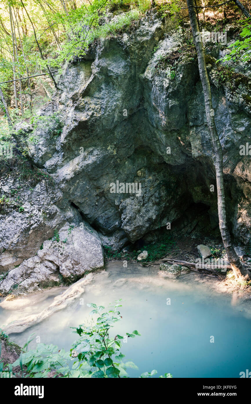 forest canyon with a small stream, beauty of nature Stock Photo - Alamy