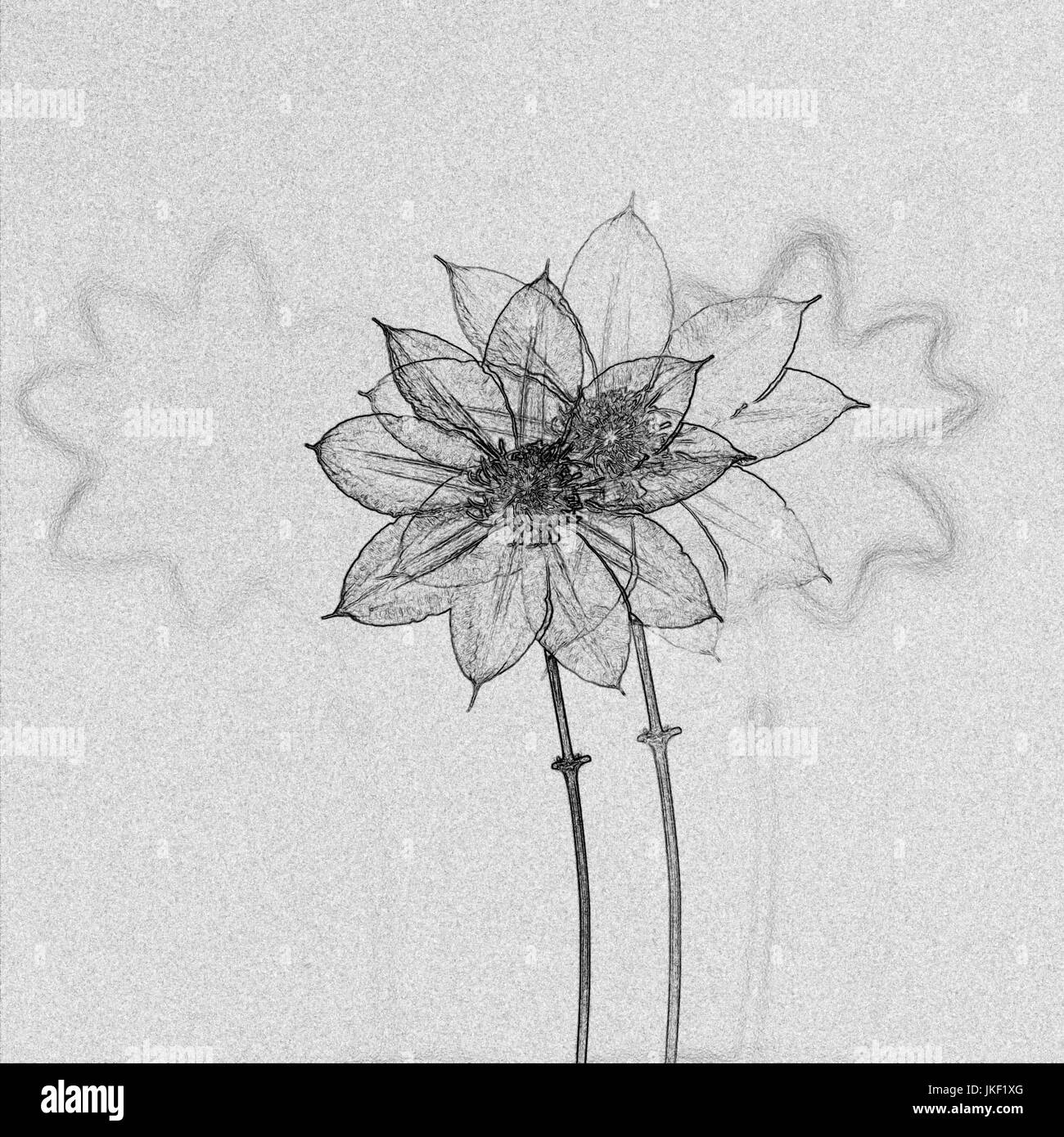 Flower photo art Black and White Stock Photos & Images - Alamy