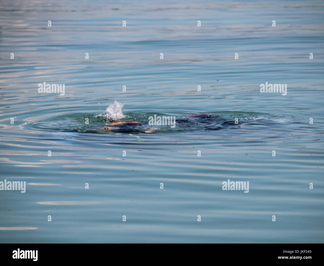 Isolated Surface Water Bubbles from Sport Scuba Divers Diving Stock ...