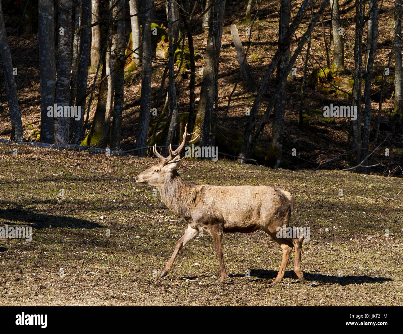 Full length clearance hi-res stock photography and images - Alamy