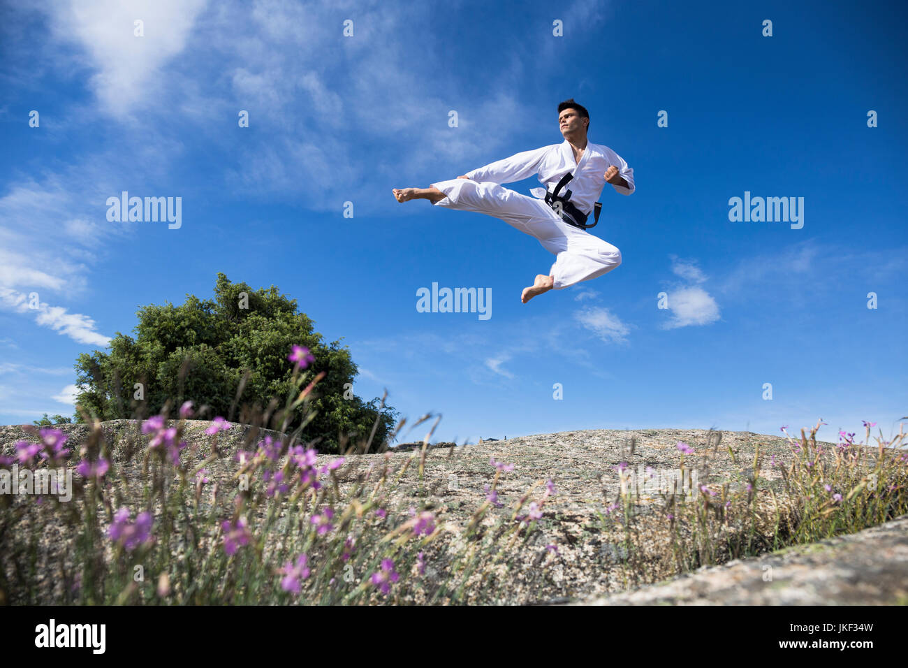 Man doing a jump kick during a martial arts training Stock Photo - Alamy