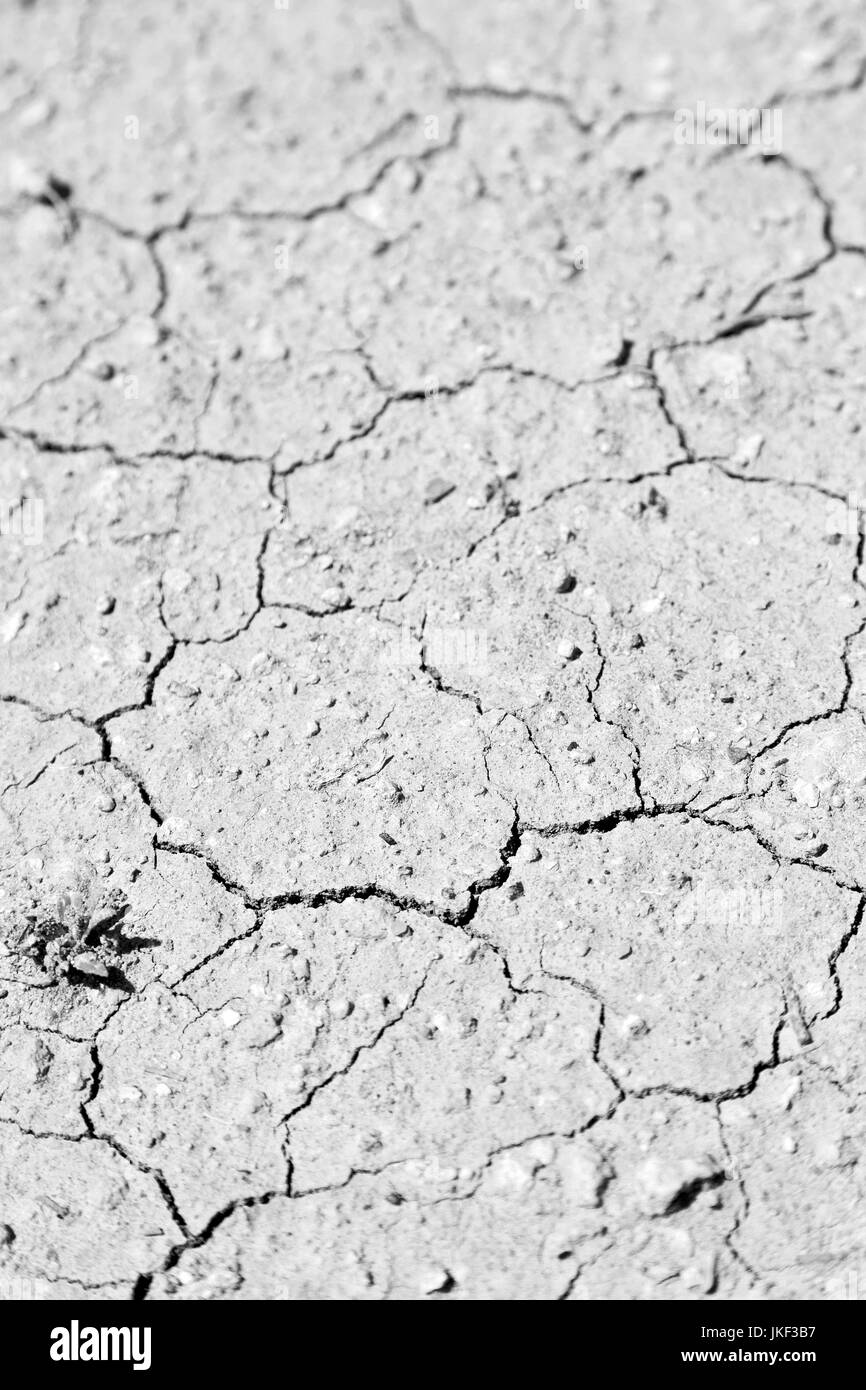 in the desert the dry ground like background texture Stock Photo - Alamy