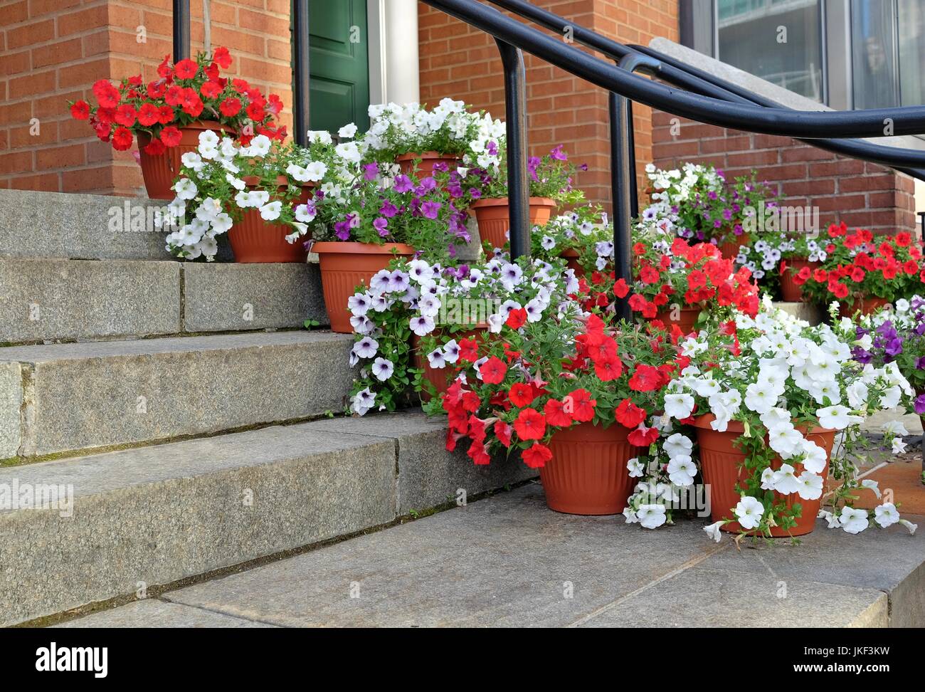 Colorful flowers in pots on a doorstep Stock Photo - Alamy