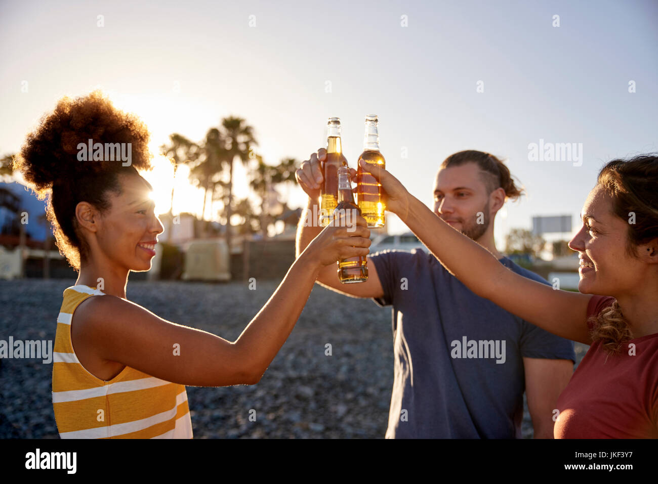 Three friends toasting with beer bottles on the beach Stock Photo - Alamy
