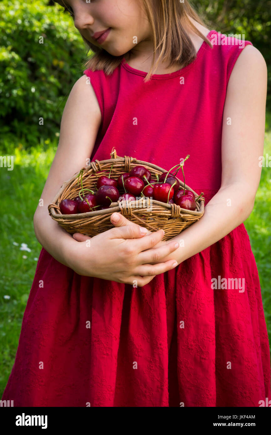 Little girl wearing red summer dress holding basket of cherries ...