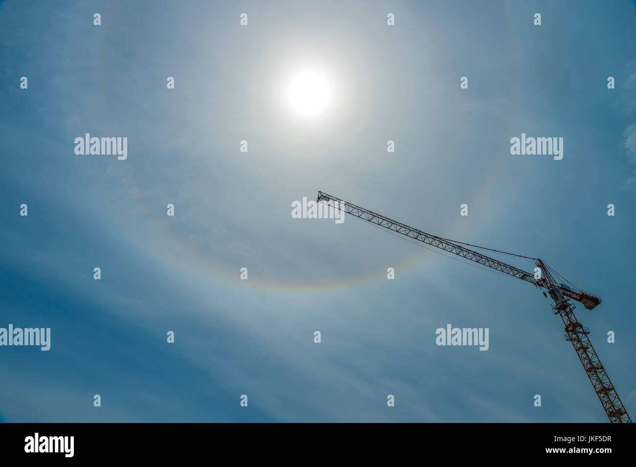 Crane in backlight Stock Photo - Alamy