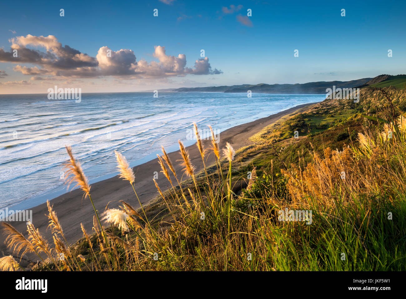 New Zealand, North Island, Raglan, Ngarunui Beach in the evening Stock ...