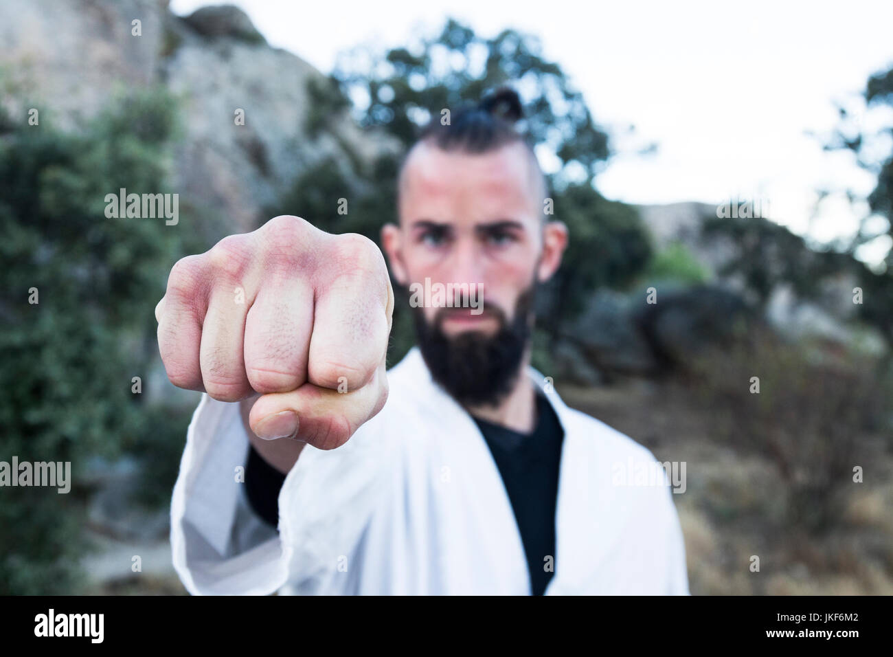 Challenging man showing his fist doing a martial arts pose Stock Photo ...