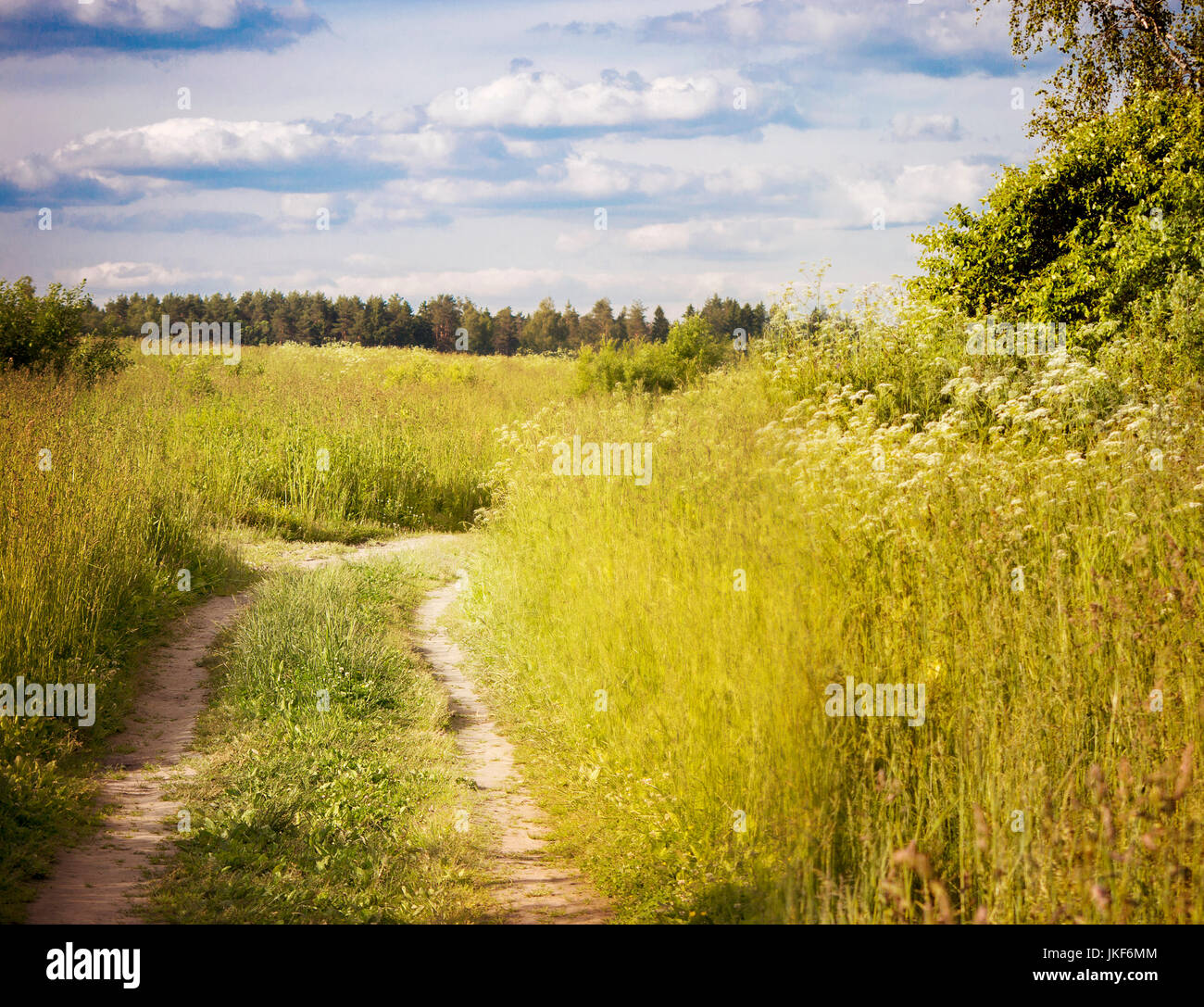 Wheel Tracks Field Car High Resolution Stock Photography and Images - Alamy
