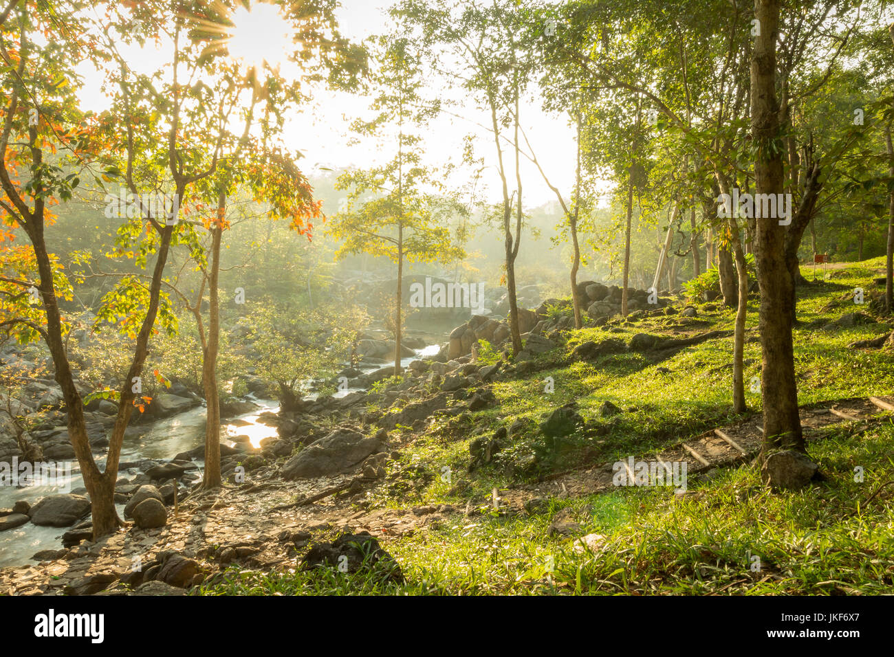 Deep rain forest Waterfall in tropical zone Stock Photo - Alamy