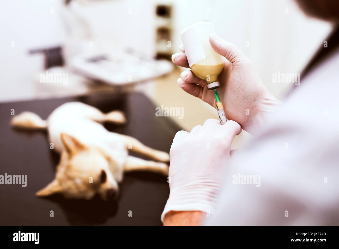 Vet preparing an injection for a dog in clinic Stock Photo - Alamy