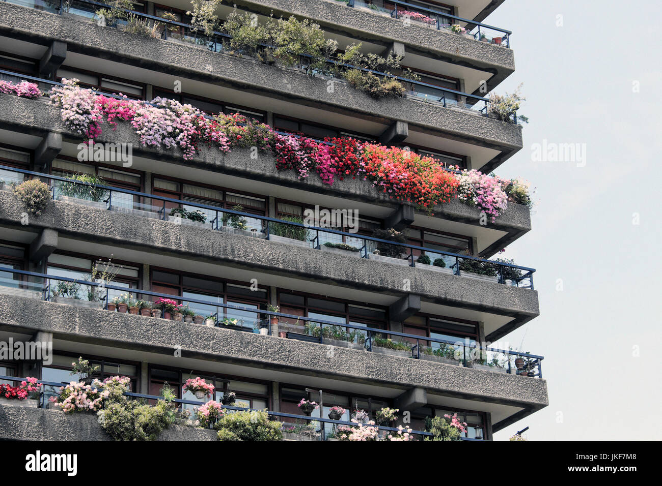 Balcony Plants Uk High Resolution Stock Photography and Images - Alamy