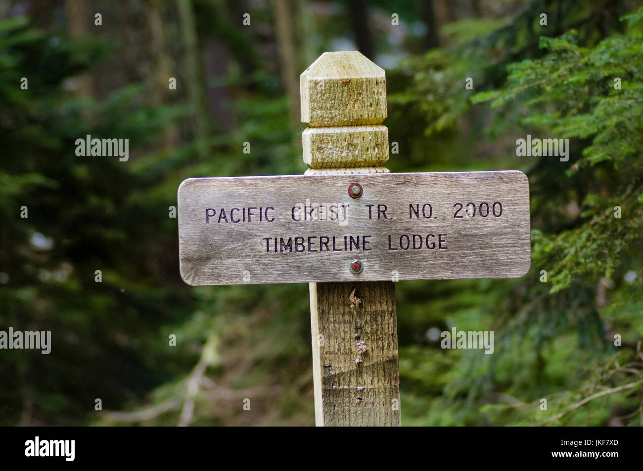Sign post for trail 2000 Pacific Crest Trail in the Mt Hood National ...