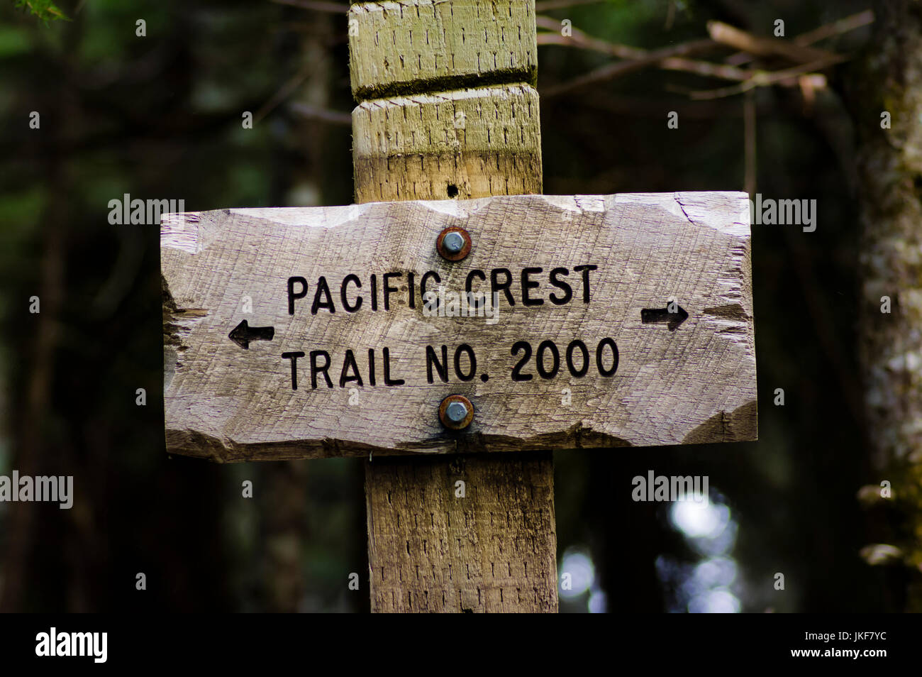 Sign post for trail 2000 Pacific Crest Trail in the Mt Hood National ...